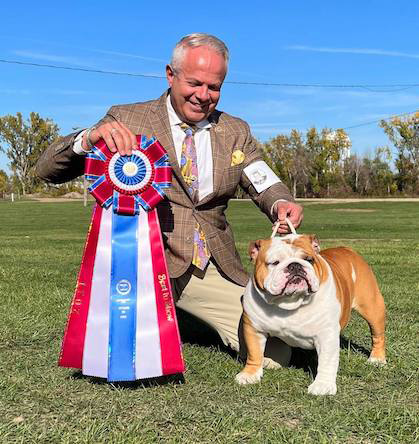 All-Breed Dog Show is Oct. 14-15 | News, Sports, Jobs - Sun Courier